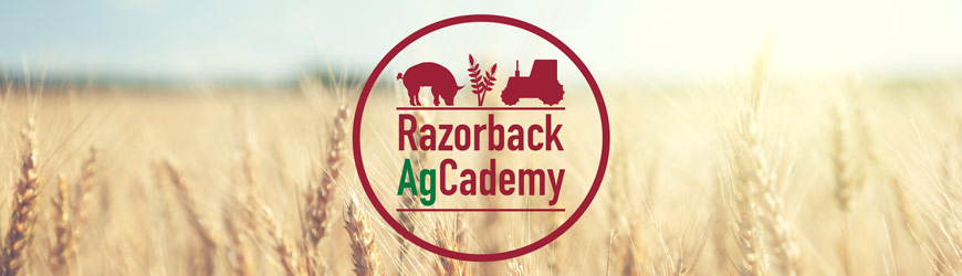 Razorback AgCademy